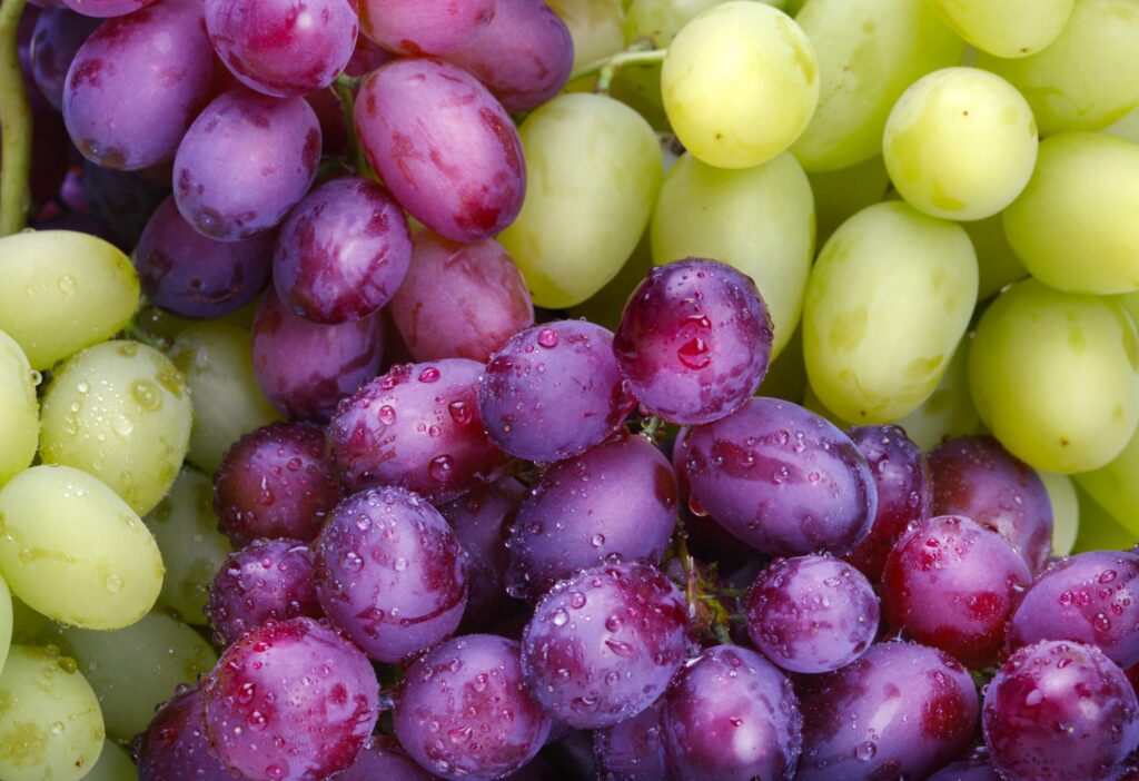 Quality Grape NFC Juice and Juice Concentrate Supplier